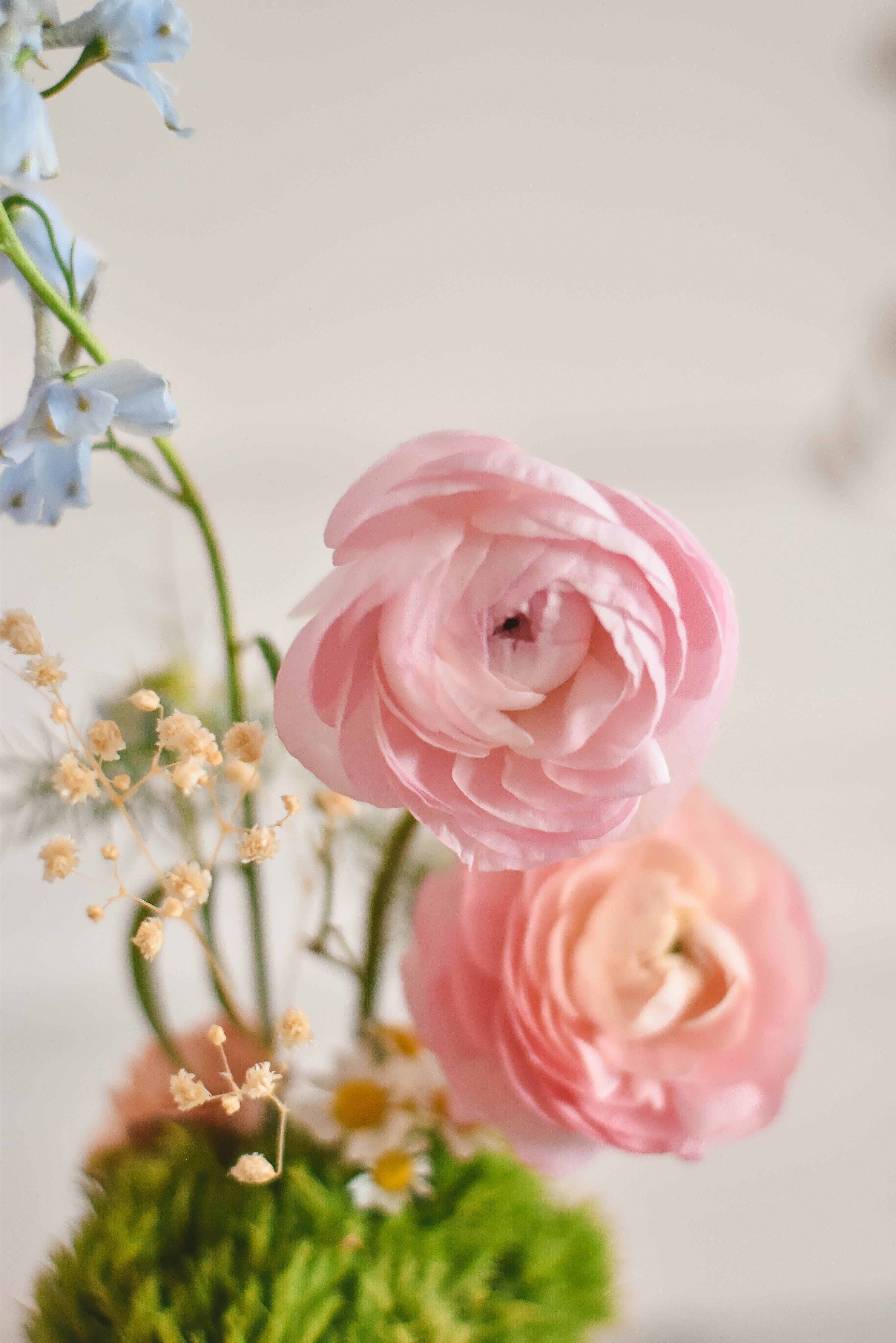 Clementina Estudio Floral